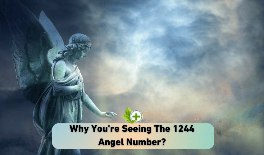 Why You're Seeing The 1244 Angel Number - Ulti Health Guide