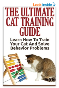 Can Cats Be Service Animals? - Ulti Health Guide