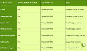 Does Alcohol Kill Gut Bacteria? What You Need To Know Before Drinking ...