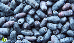 15 Delicious Blue Fruits & Vegetables - Ulti Health Guide