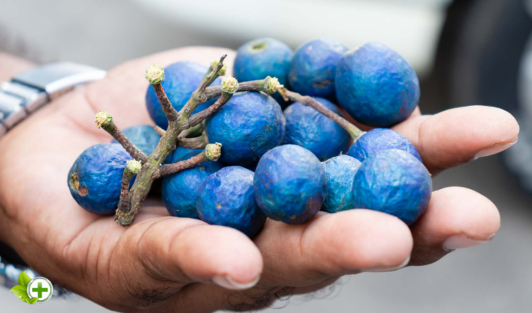 15 Delicious Blue Fruits & Vegetables - Ulti Health Guide