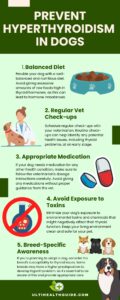 Hyperthyroidism In Dogs - Causes, Symptoms, and Treatments for ...