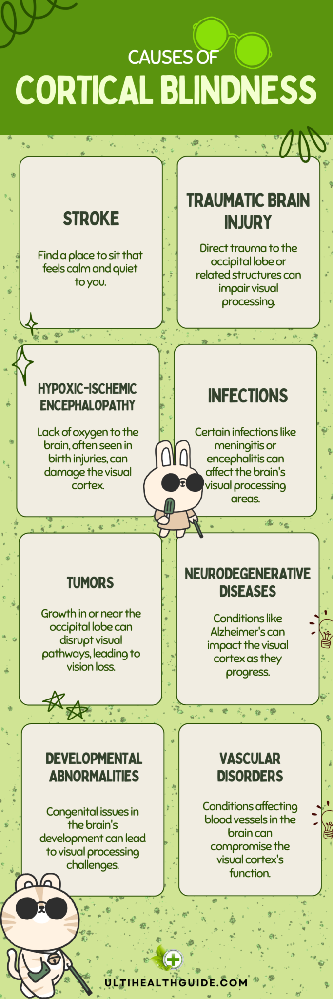Empower Yourself With The Truth About Cortical Blindness - Ulti Health ...